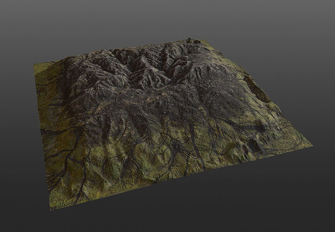 Mossy Hills PBR Texture | CGTrader