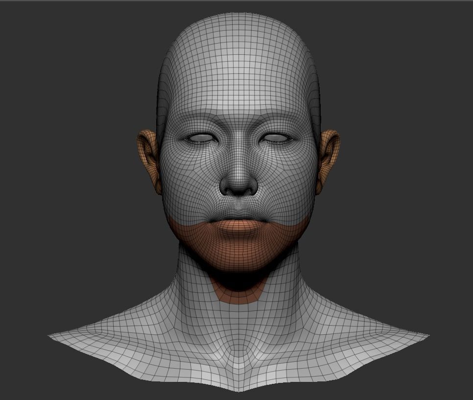 Man Head Base mesh 3D model | CGTrader