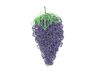 3D model Low Poly Cartoon Grape VR / AR / low-poly | CGTrader