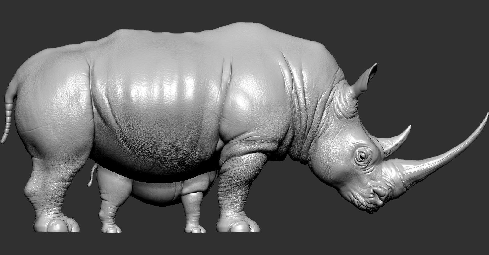 Rhino rhinoceros 3D model 3D printable | CGTrader