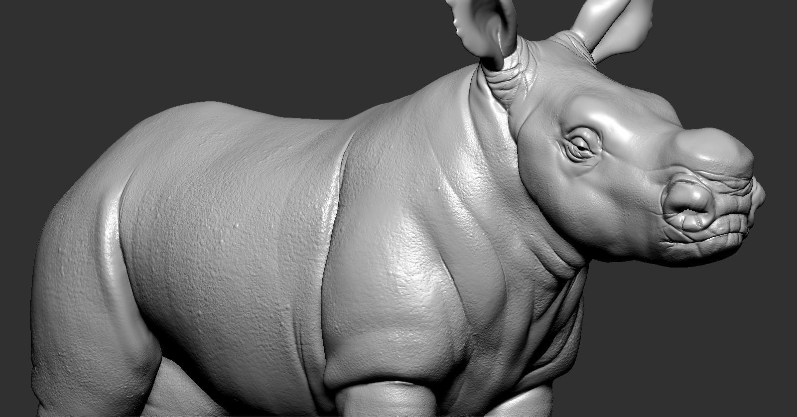 Rhino rhinoceros 3D model 3D printable | CGTrader