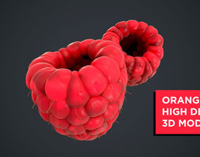 Raspberry 3D Models | CGTrader