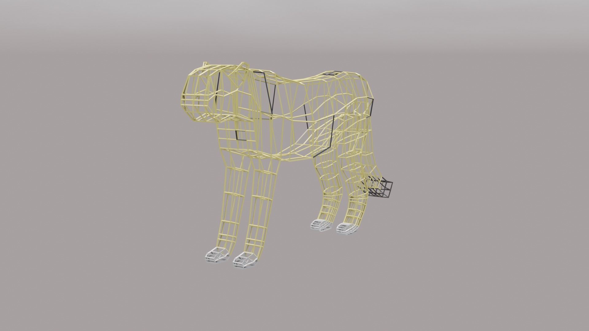 Cheetah free VR / AR / low-poly 3D model rigged | CGTrader
