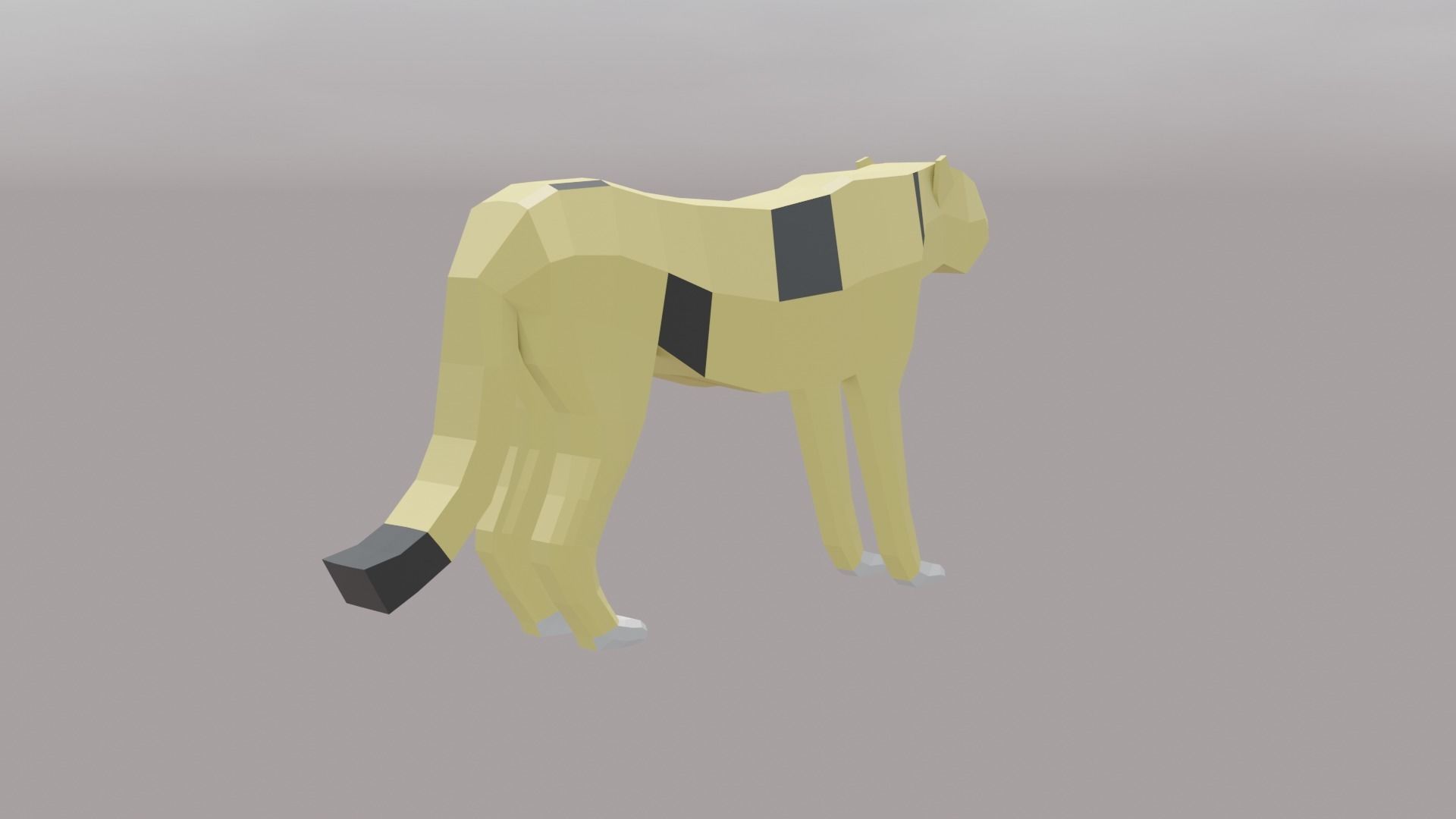 Cheetah free VR / AR / low-poly 3D model rigged | CGTrader