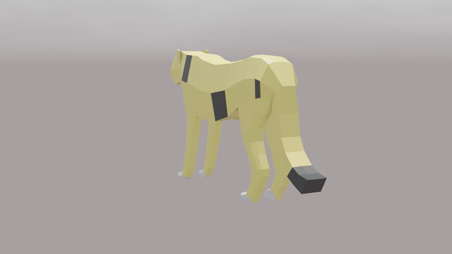 Cheetah free VR / AR / low-poly 3D model rigged | CGTrader