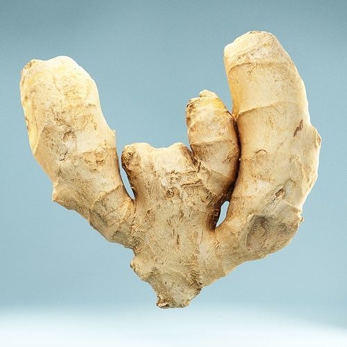 3D model Ginger root VR / AR / low-poly | CGTrader