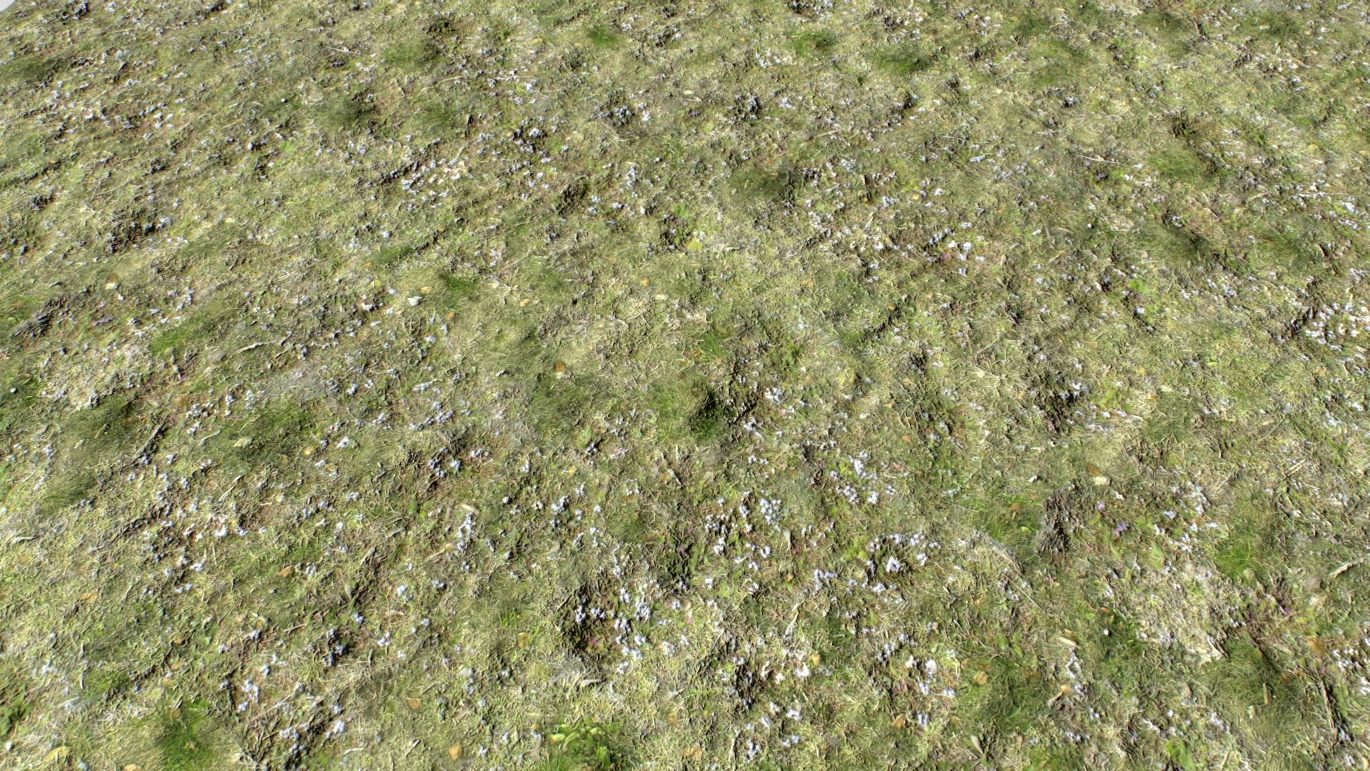 Dirty Grass Texture Set Texture | CGTrader