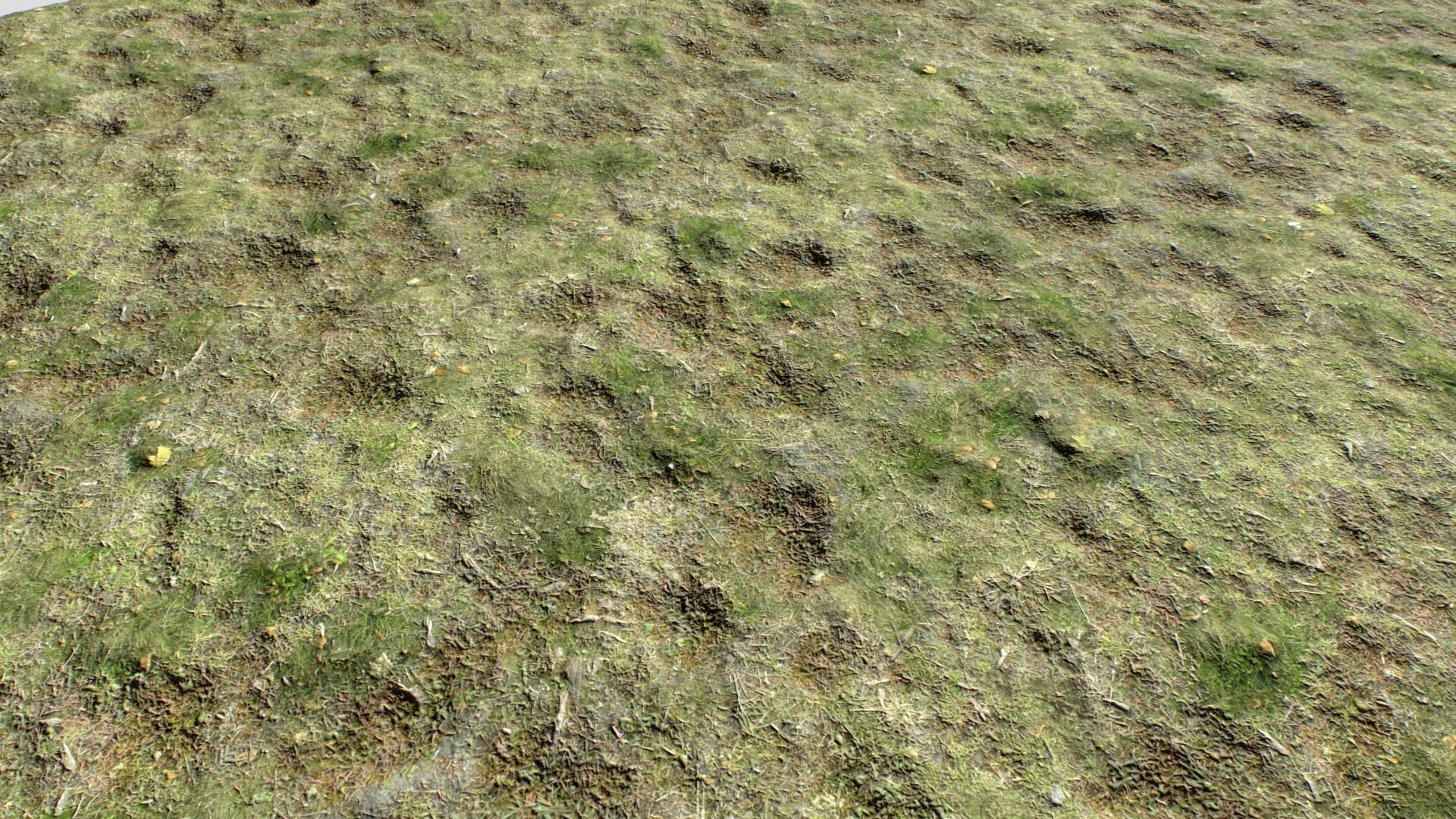 Dirty Grass Texture Set Texture | CGTrader