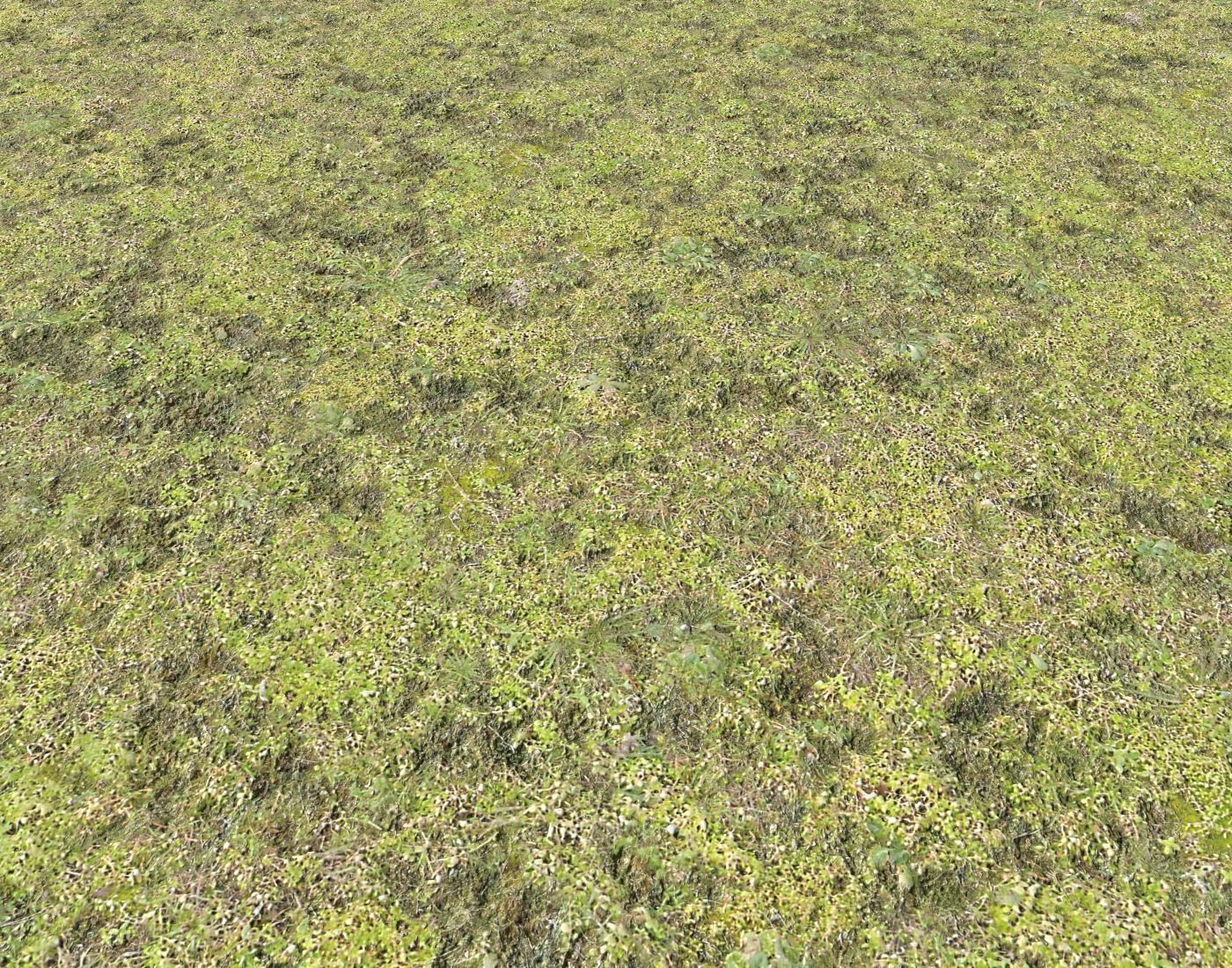 Mossy grass terrain 11 Texture | CGTrader