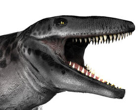 Mosa 3D Models | CGTrader