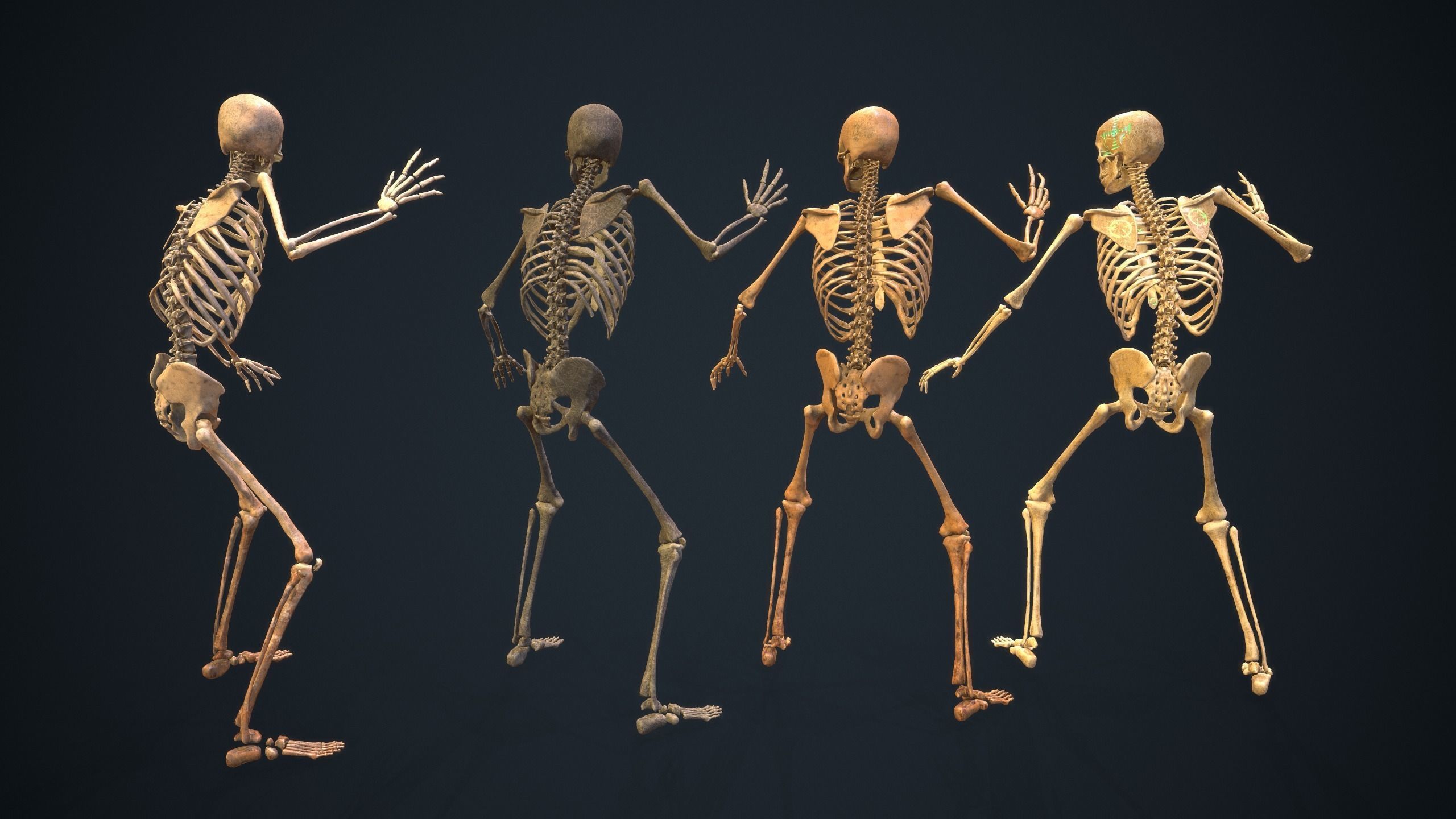 3D model Sceleton Mage VR / AR / low-poly rigged animated | CGTrader