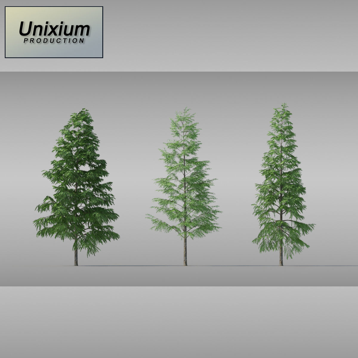 Vegetation - Pack 1 3D model | CGTrader