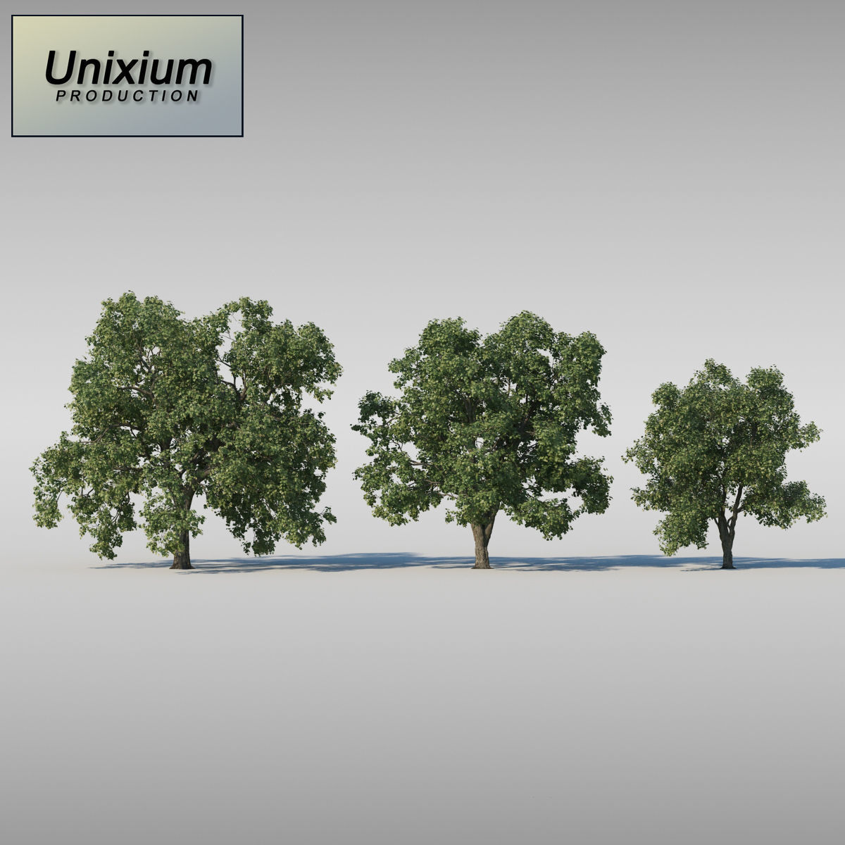 Vegetation - Pack 1 3D model | CGTrader