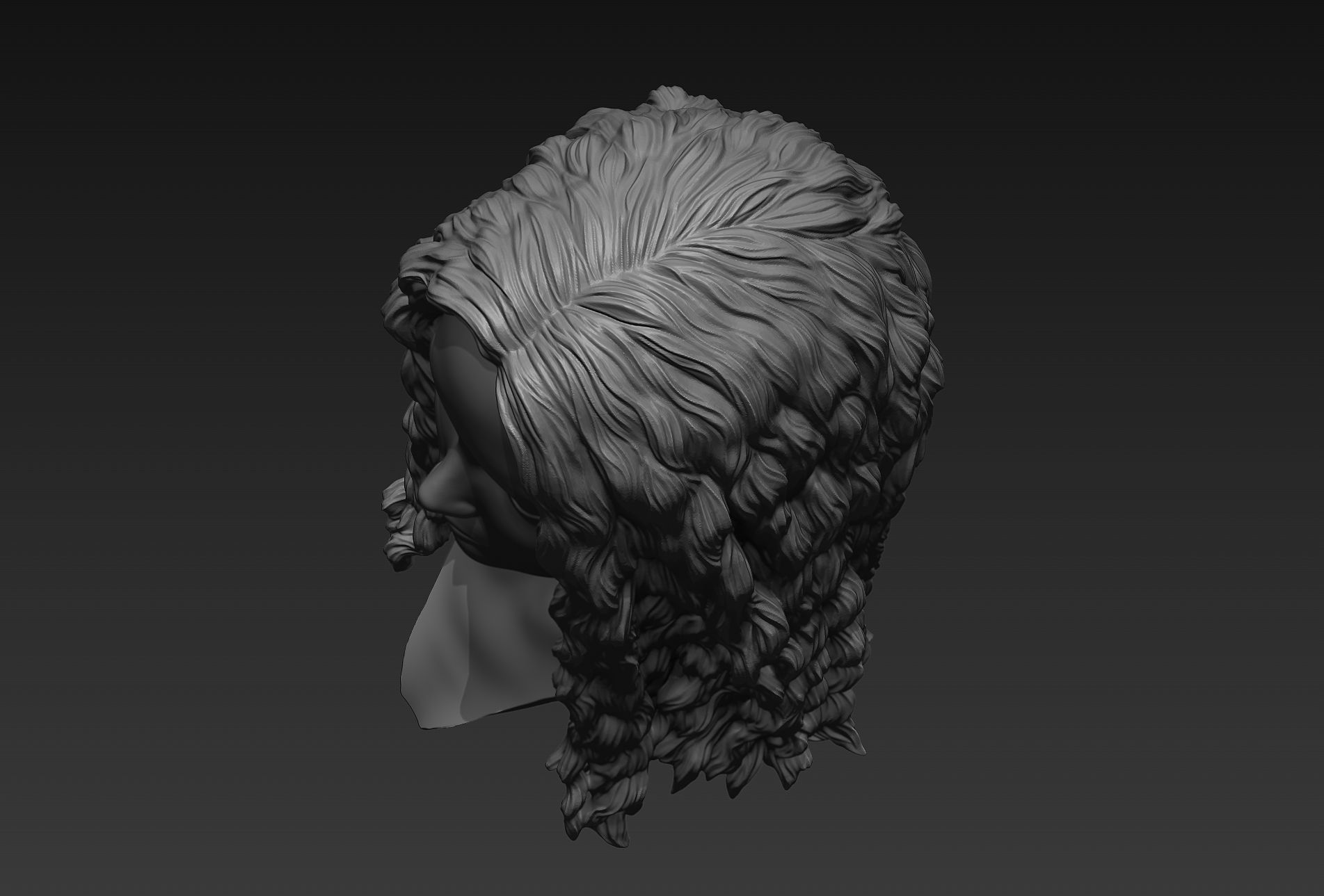 Hair 10 Curly 3D model | CGTrader
