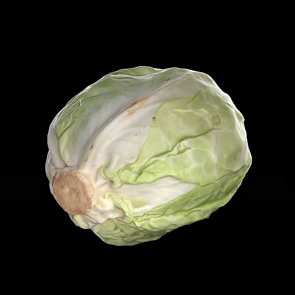 3D model Cabbage VR / AR / low-poly | CGTrader