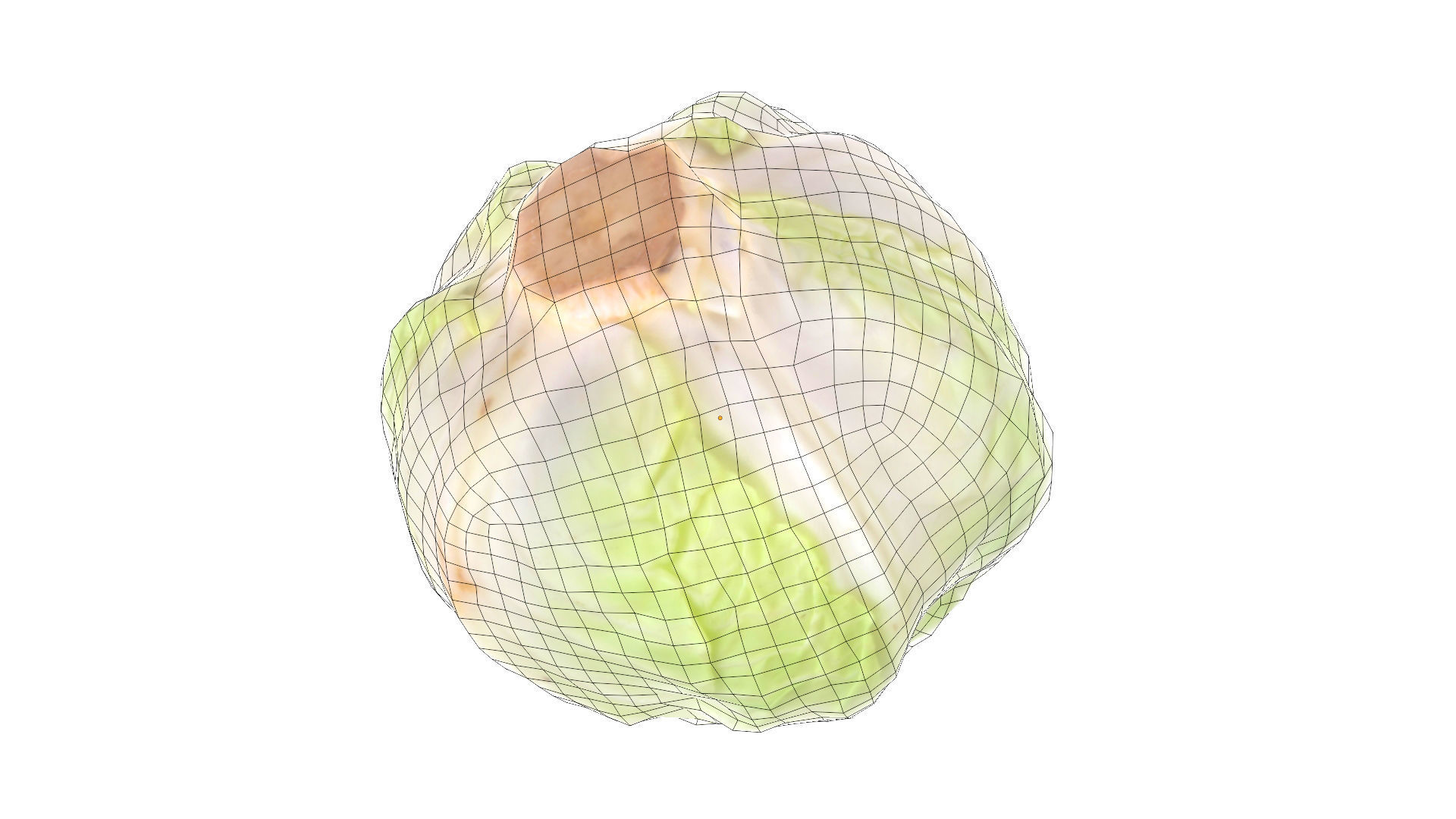 3D model Cabbage VR / AR / low-poly | CGTrader
