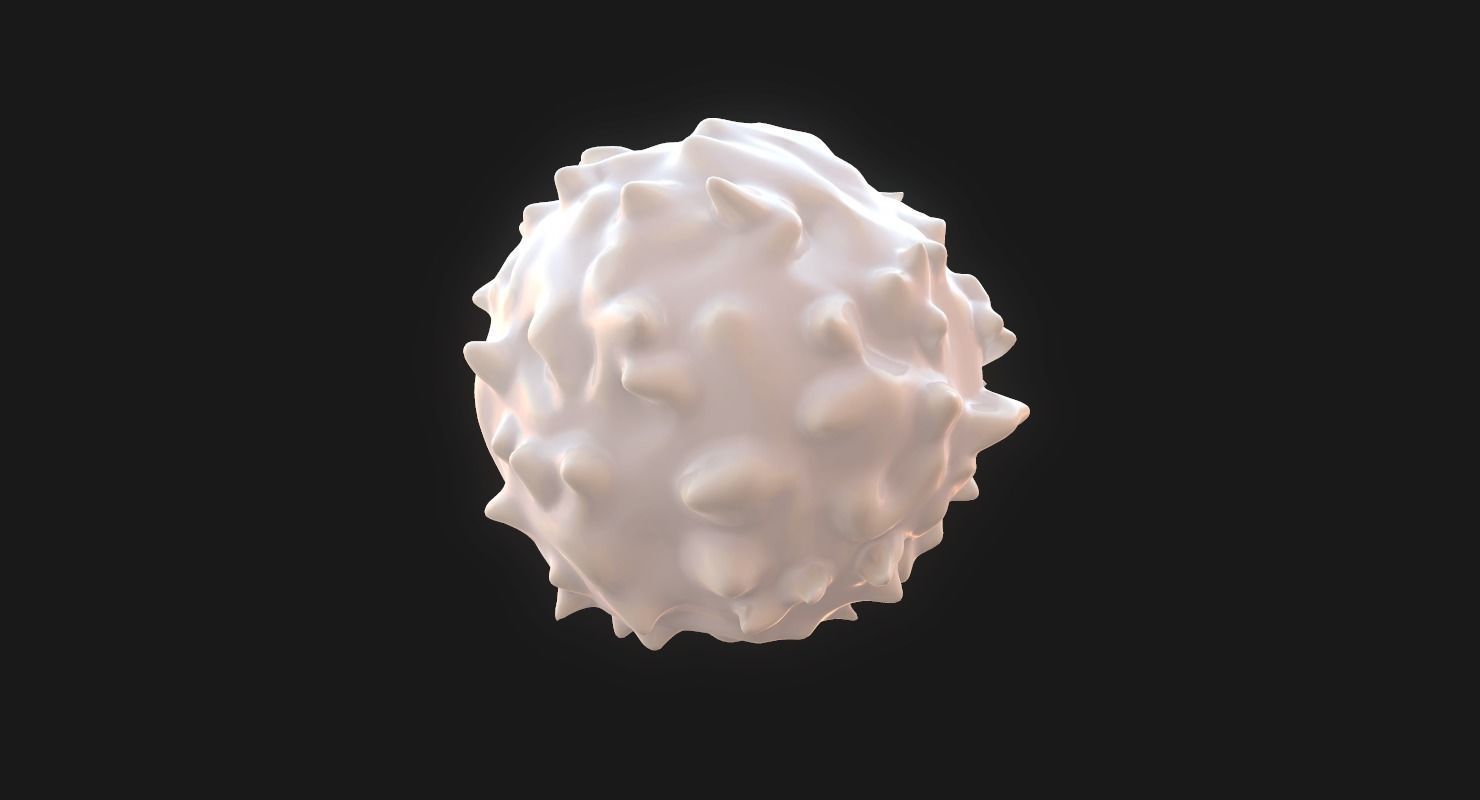 Lymphocytes 3D model | CGTrader