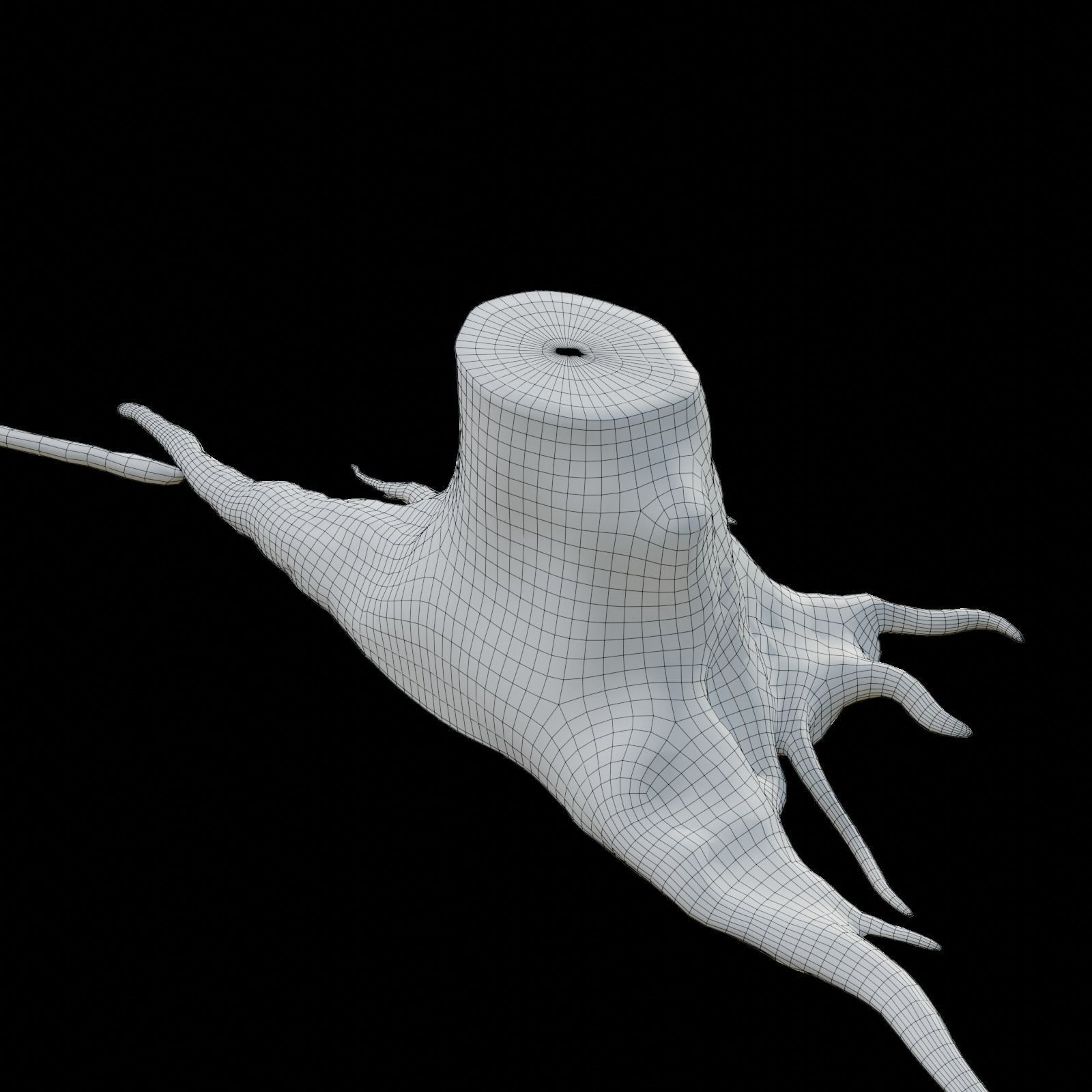 TreeRoot rigged model 3D model rigged | CGTrader