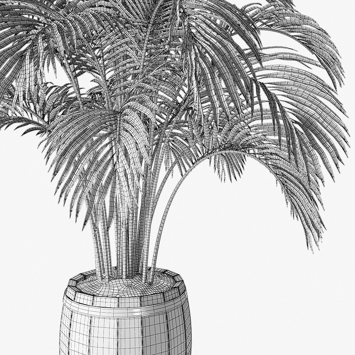 Palm 11 3D model | CGTrader