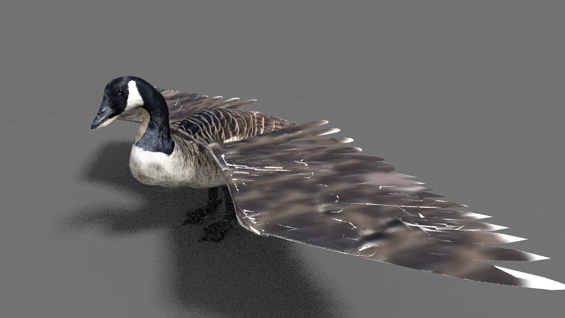 goose canadian with wings spread 3D model | CGTrader