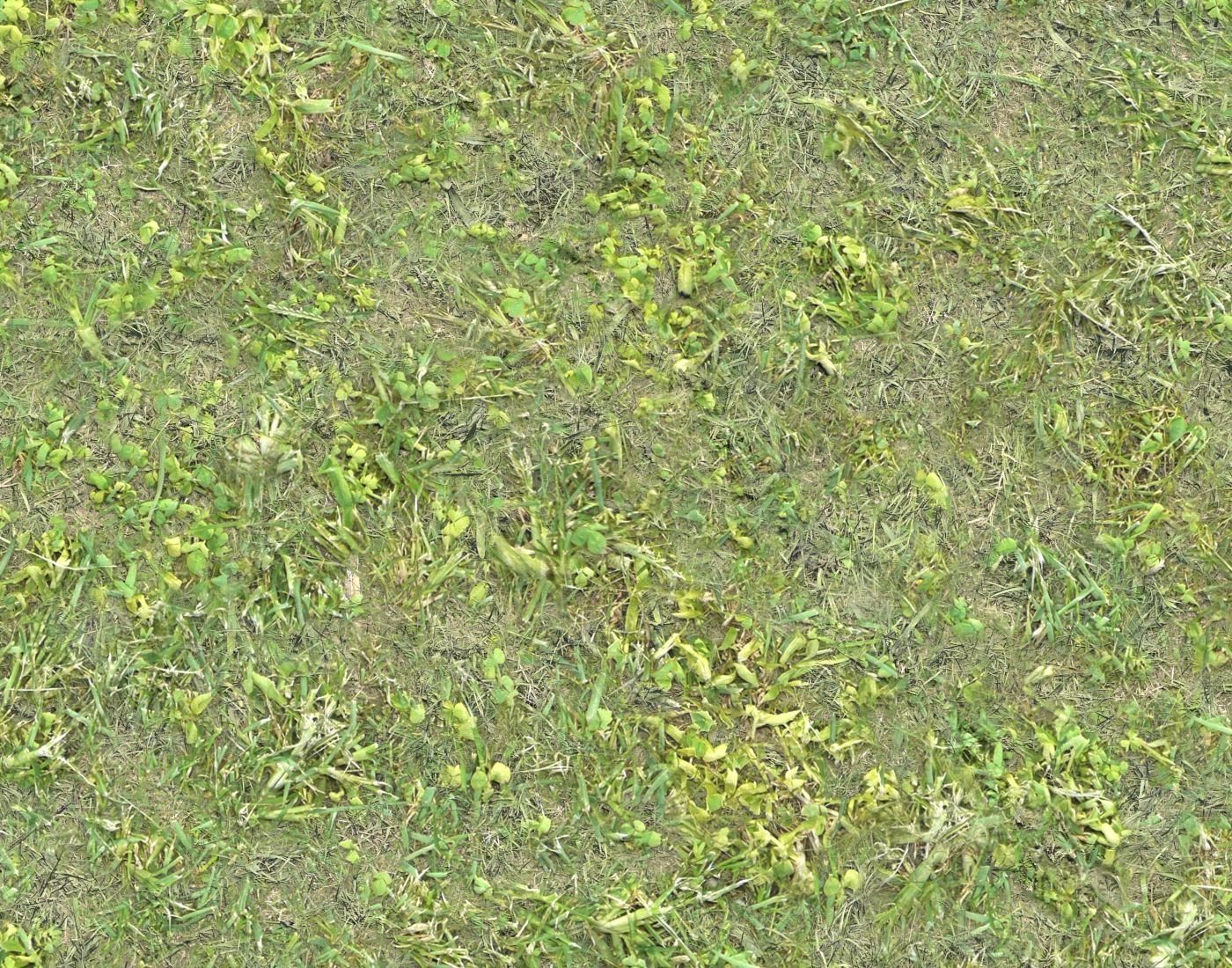 Grass terrain pack 2 Texture | CGTrader