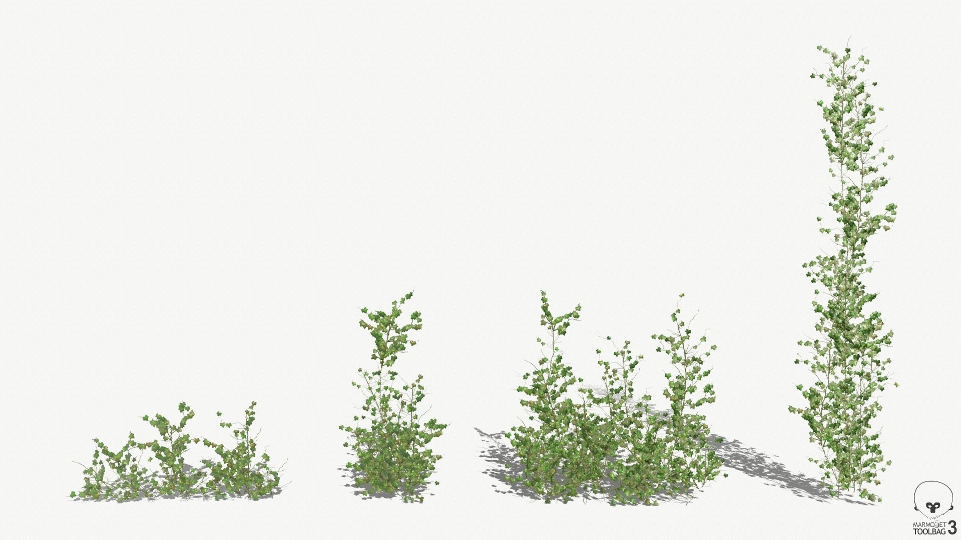 3D model Ivy Modular Assets VR / AR / low-poly | CGTrader