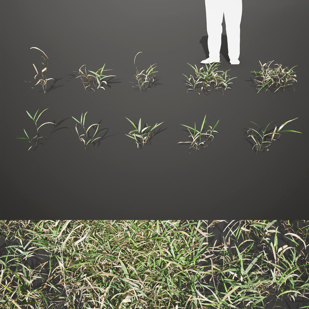 3D model Realistic Grass 14 - UE4 Asset and FBX Files VR / AR / low ...