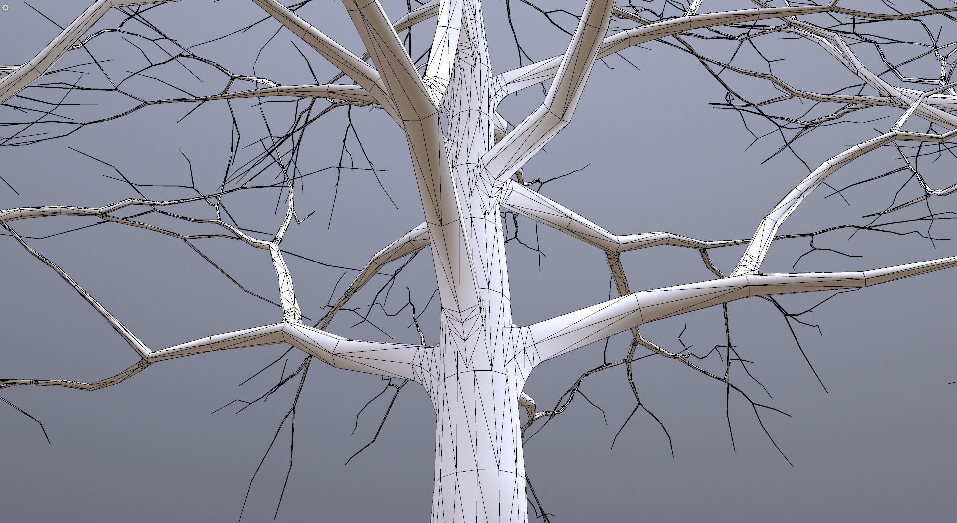 3D model Old Forest Trees Scan VR / AR / low-poly | CGTrader