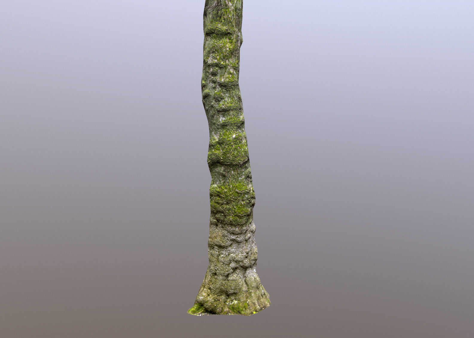 3D model Old Forest Trees Scan VR / AR / low-poly | CGTrader