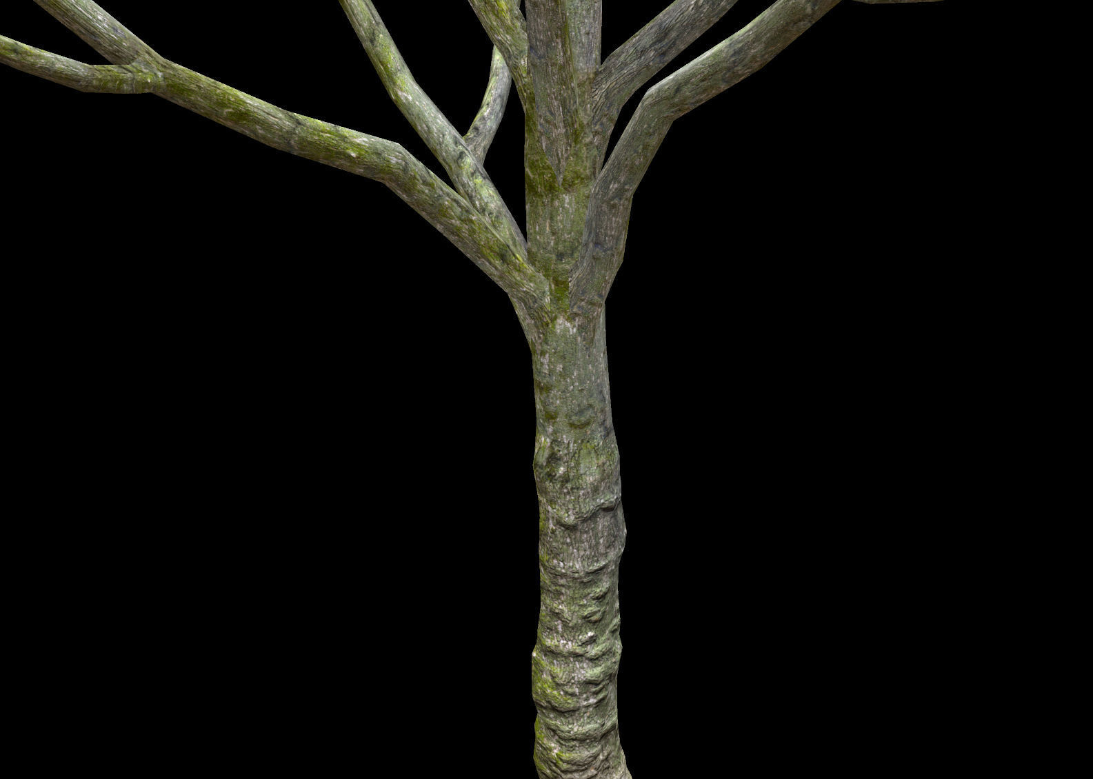 3D model Old Forest Trees Scan VR / AR / low-poly | CGTrader