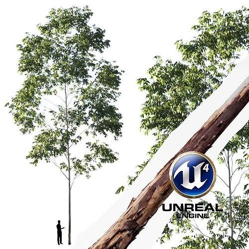 3D model Realistic Tree 01- UE4 Asset and FBX Files Low-poly 3D model ...