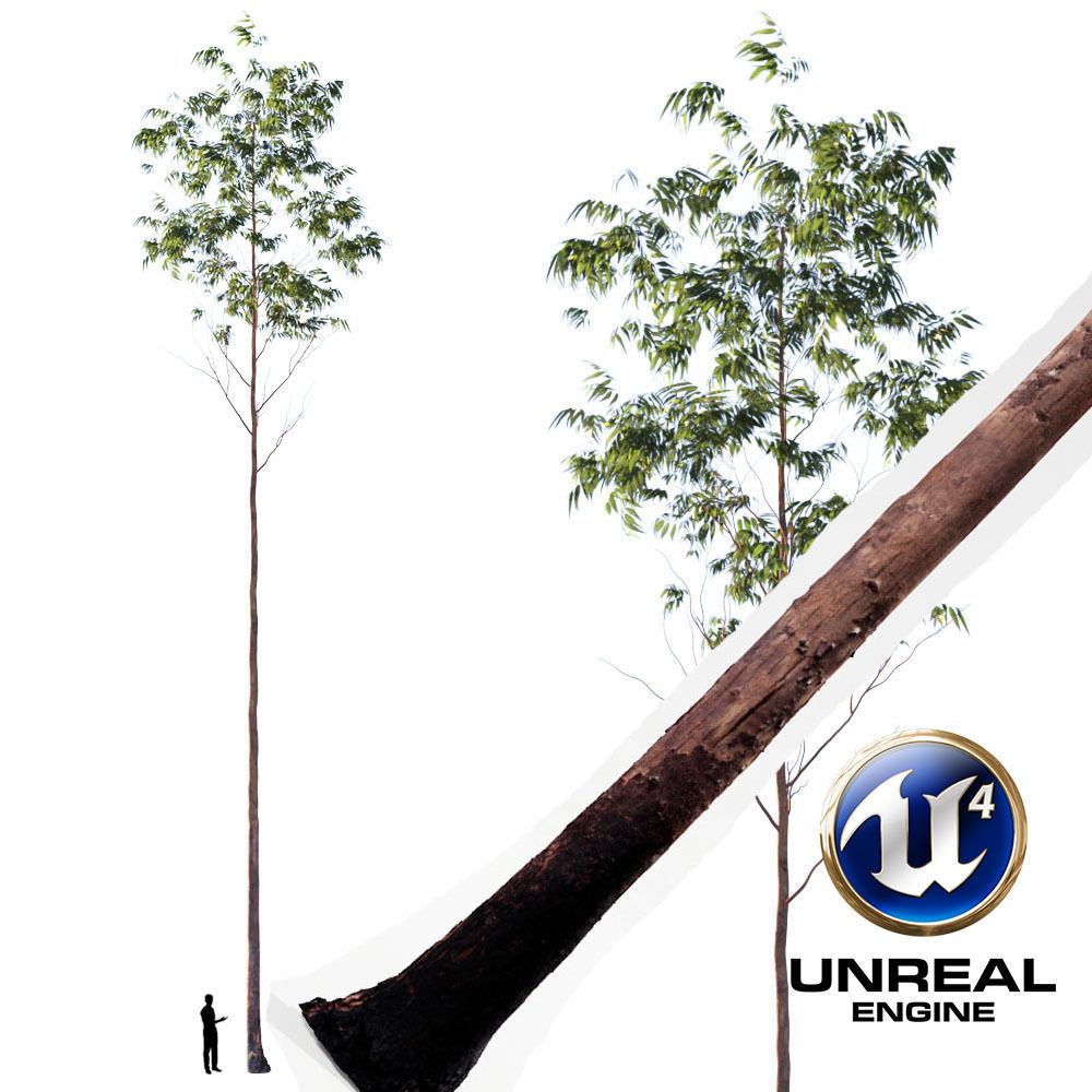 3D model Realistic Tree 10- UE4 Asset and FBX Files Low-poly 3D model ...