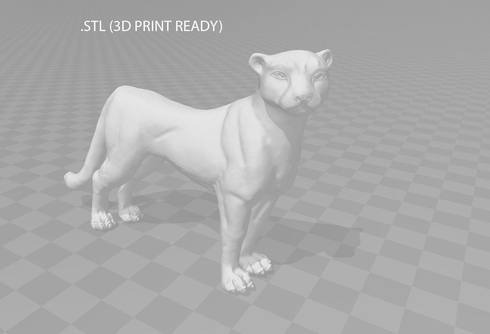 3D model CHEETAH VR / AR / low-poly | CGTrader