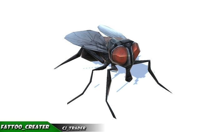 3D model Low-Poly Housefly Insect Rigged Animated 3d model VR / AR ...