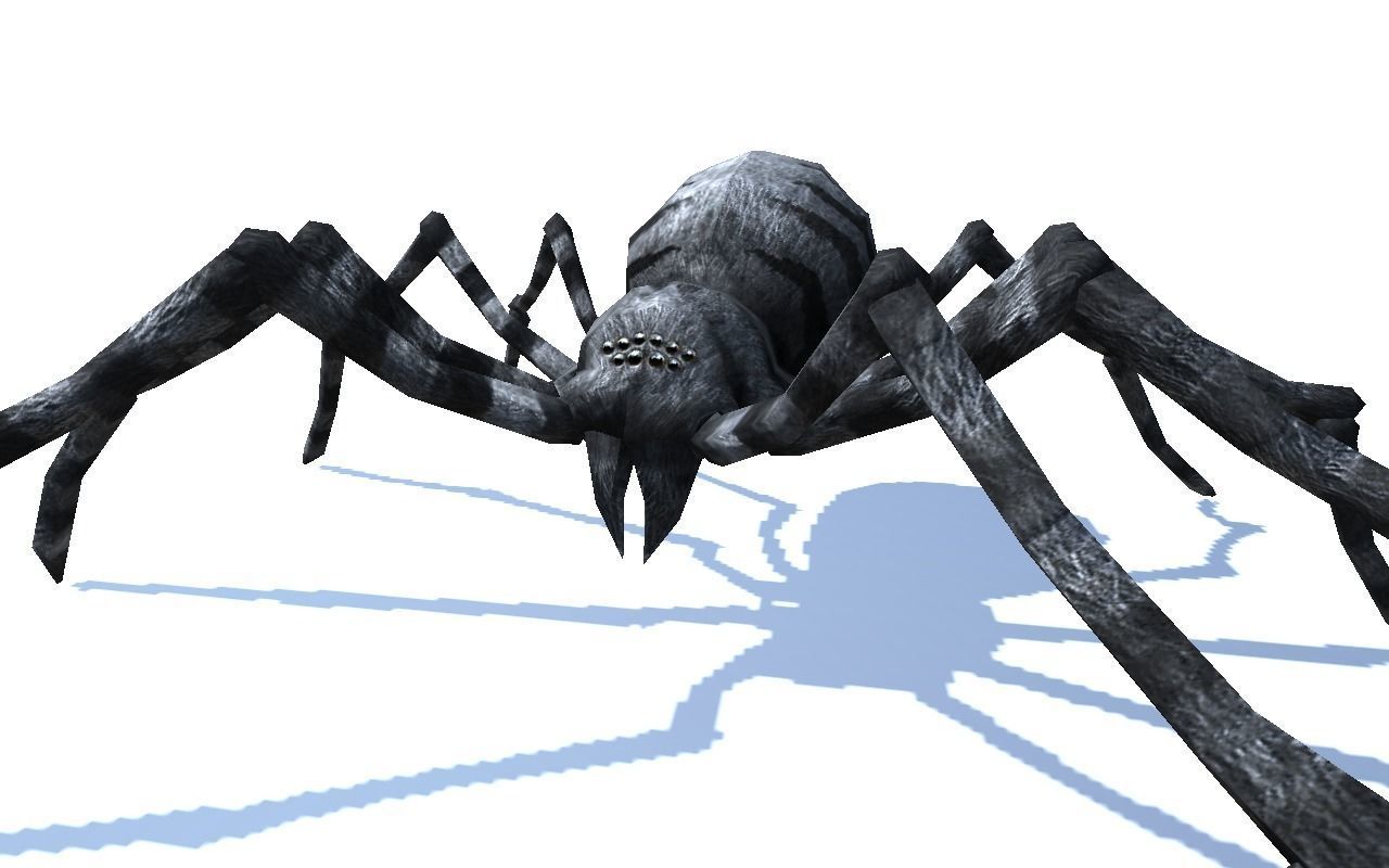 Low-Poly Spider Rigged-Animated Collection Pack 3d model | CGTrader