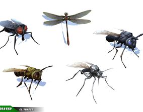 Animated Insect 3D Models | CGTrader