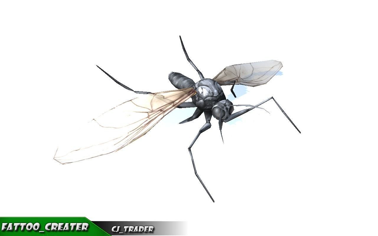 Low-Poly Wild Insects Collection Pack Rigged 3d model | CGTrader
