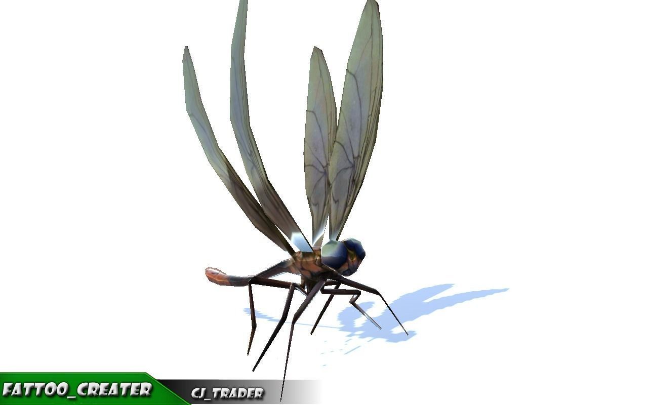 Low-Poly Wild Insects Collection Pack Rigged 3d model | CGTrader