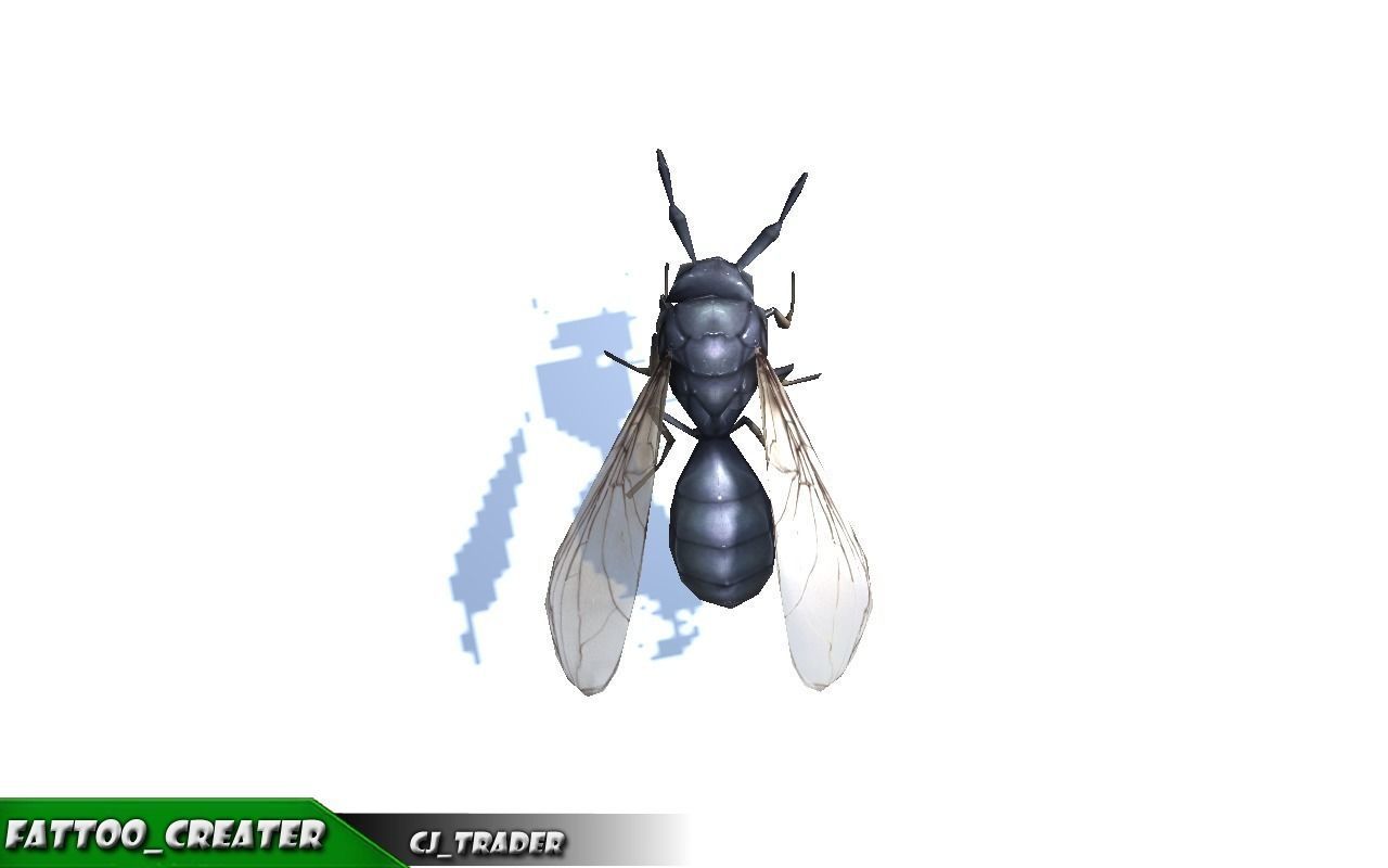 Low-Poly Wild Insects Collection Pack Rigged 3d model | CGTrader