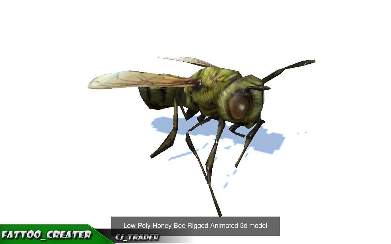 Low-Poly Wild Insects Collection Pack Rigged 3d model | CGTrader