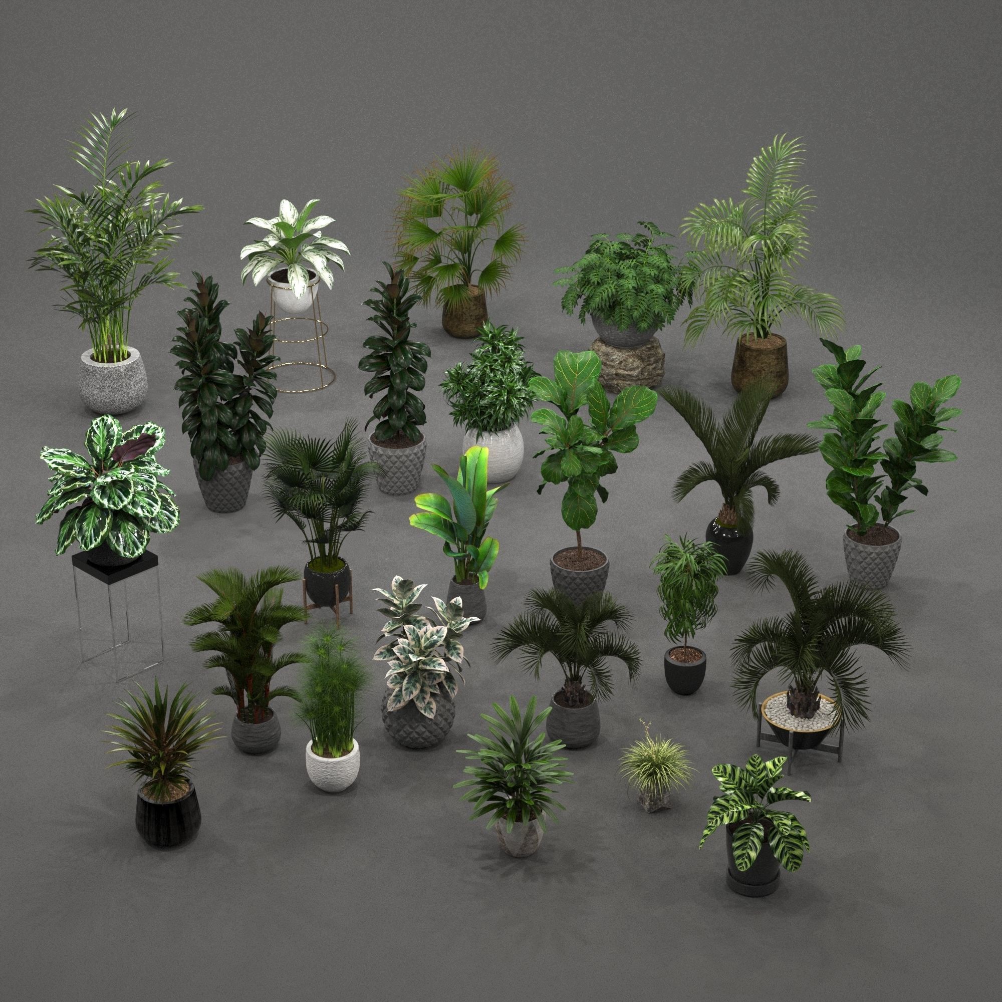3D model grass Plants Collection 01 | CGTrader