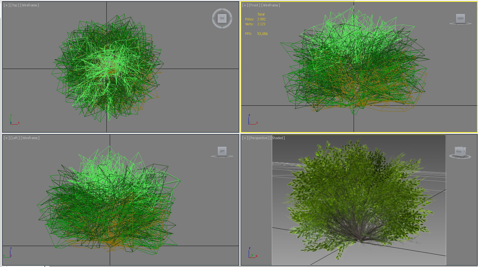 3D model Bush Willow Salix purpurea Nana VR / AR / low-poly | CGTrader