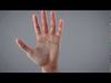 3D model Rigged Hand model Photorealistic with Nails VR / AR / low-poly ...