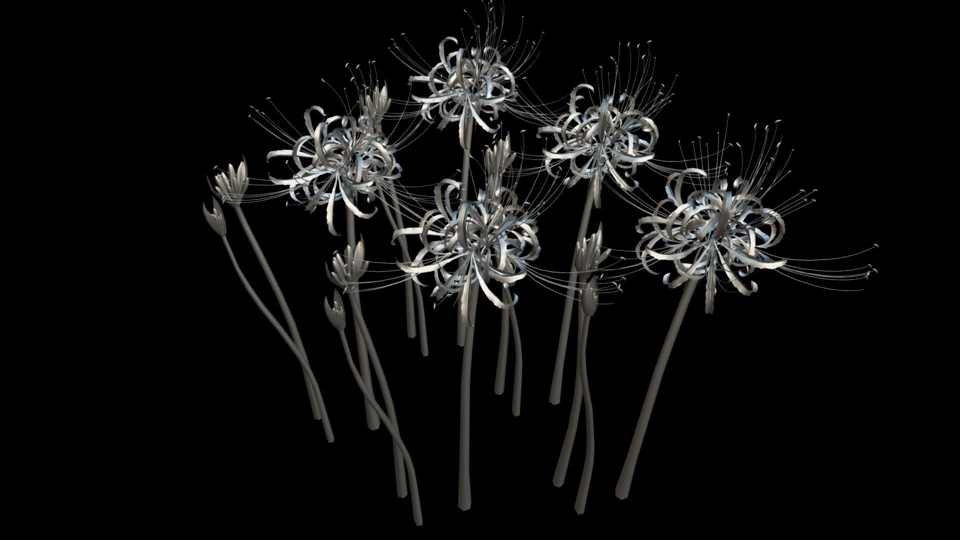 3D model Flower Lycoris Radiata VR / AR / low-poly | CGTrader