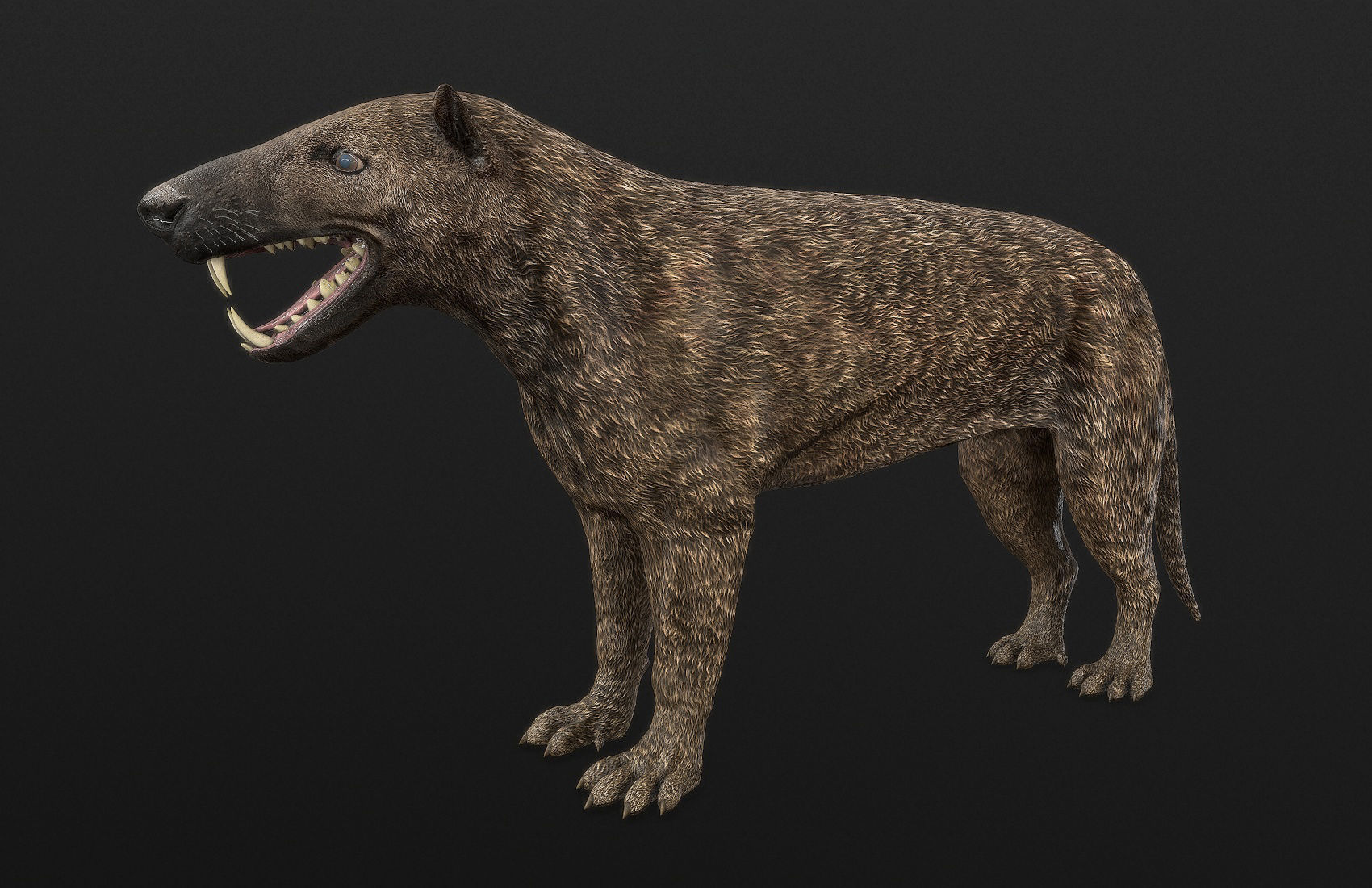 3D model Hyaenodon horridus VR / AR / low-poly | CGTrader