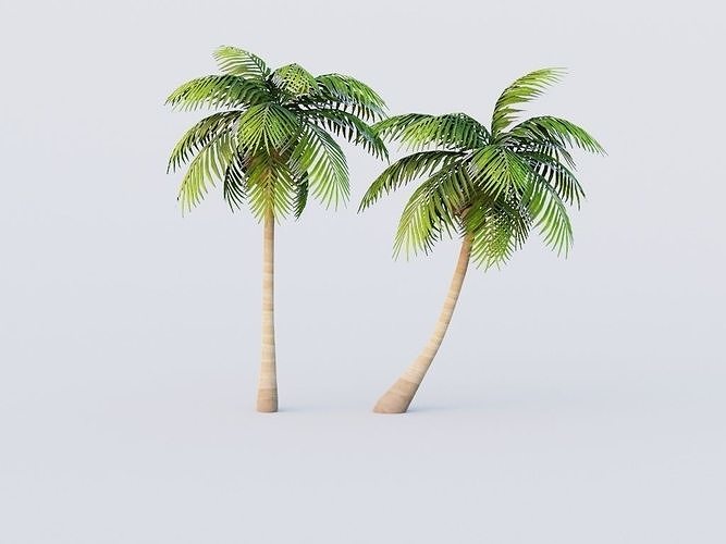 3D model Coconut Tree LOD G11 VR / AR / low-poly | CGTrader