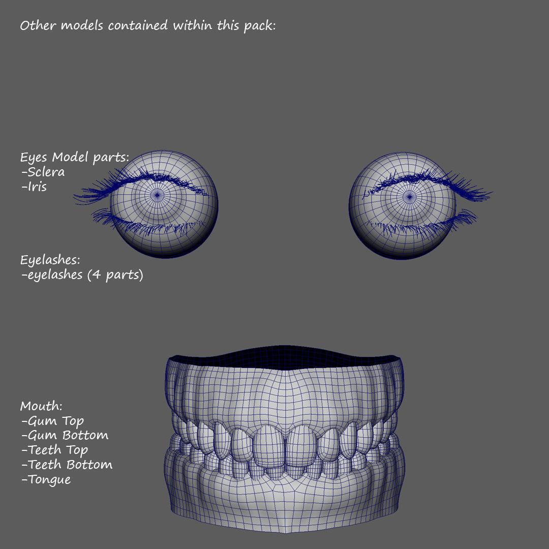 Woman - Perfect Female Body - Very High Detail Sculpt 3D model | CGTrader