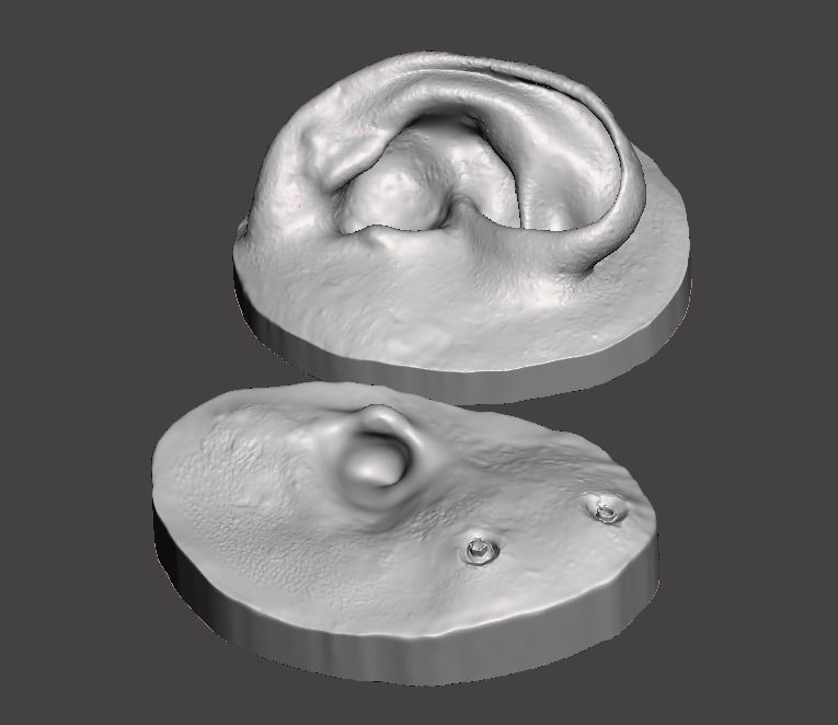 Natural human ear anatomy for attachment retained prosthesis 3D model ...