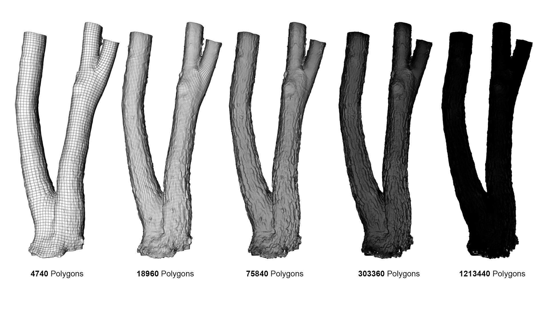 Tree Trunk - 06 3D model | CGTrader