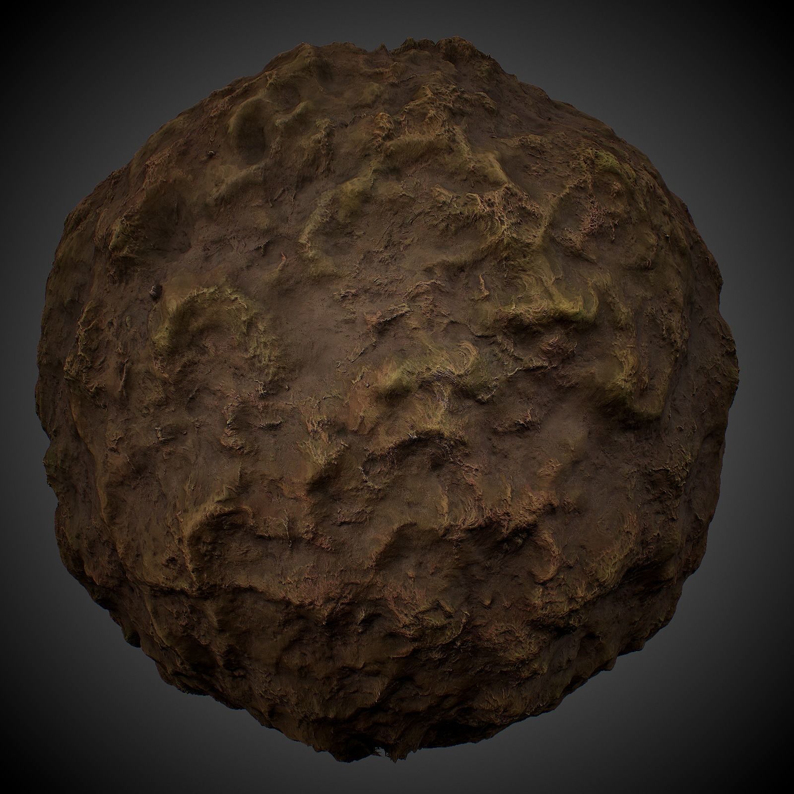 Stylized Forest Materials Texture | CGTrader